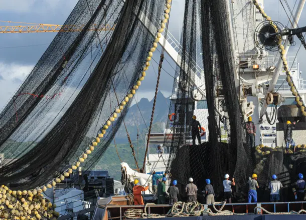 Our progress | ClientEarth