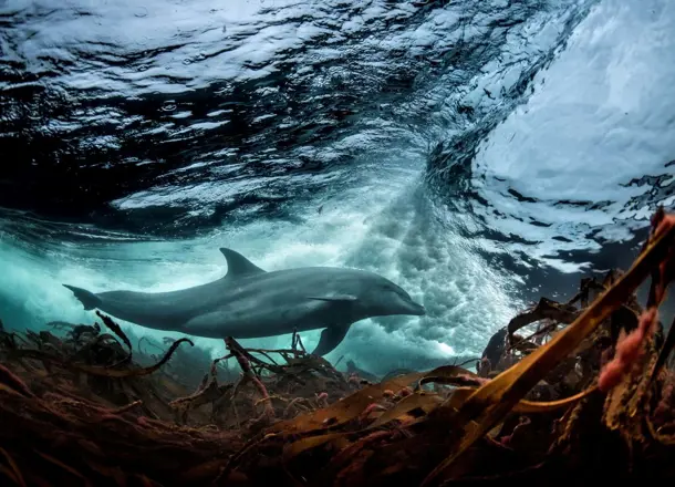 Our progress | ClientEarth