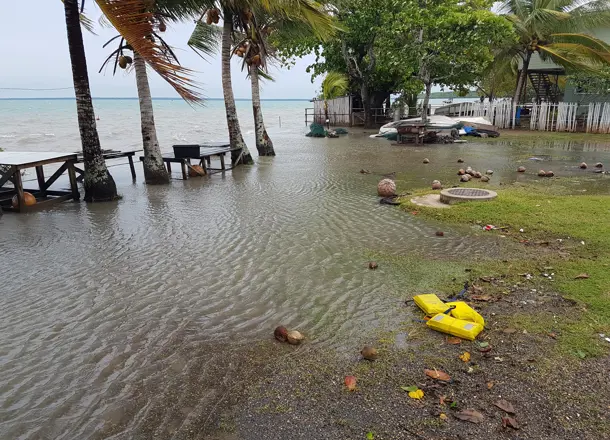 Torres Strait climate claimants win their historic human rights fight ...