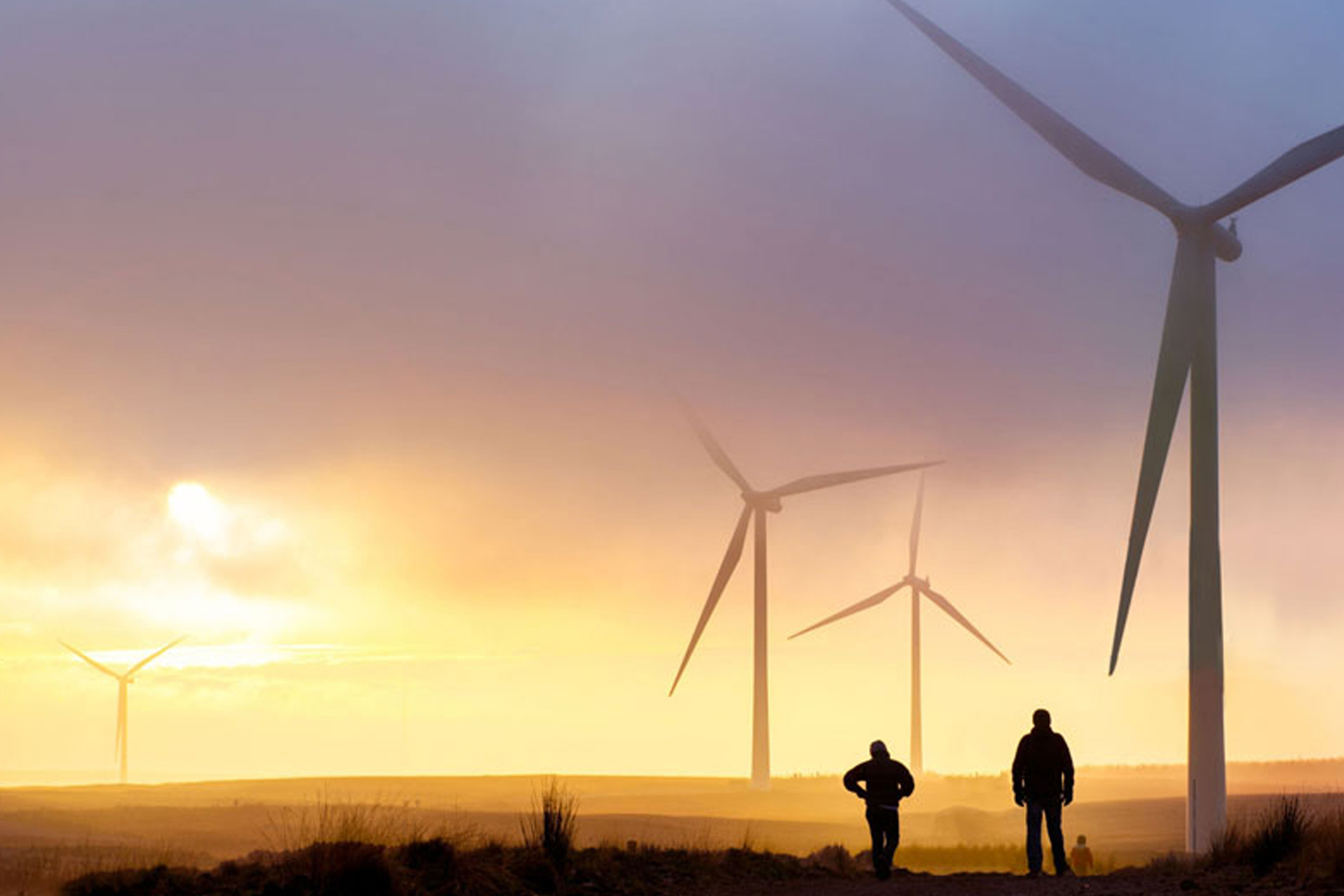 Our progress | ClientEarth