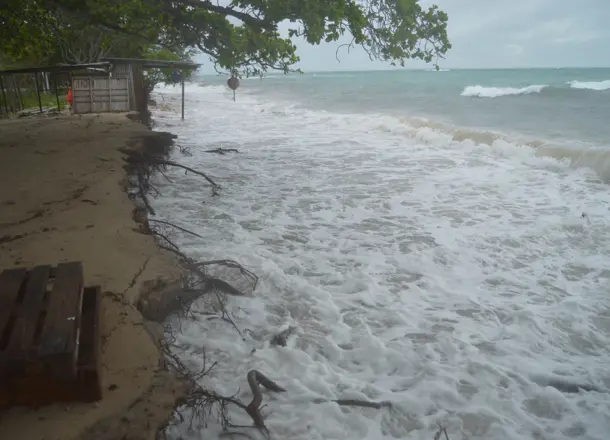 Torres Strait climate claimants win their historic human rights fight ...