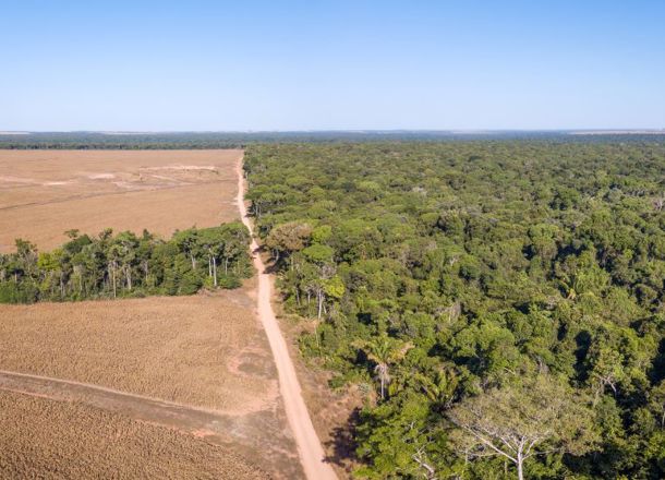 Our progress | ClientEarth