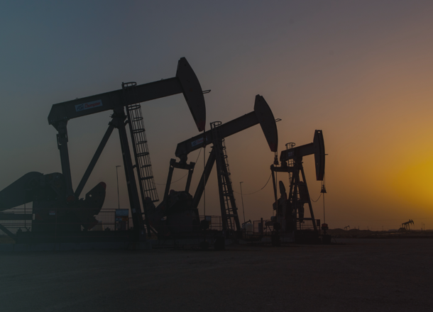 Our progress | ClientEarth